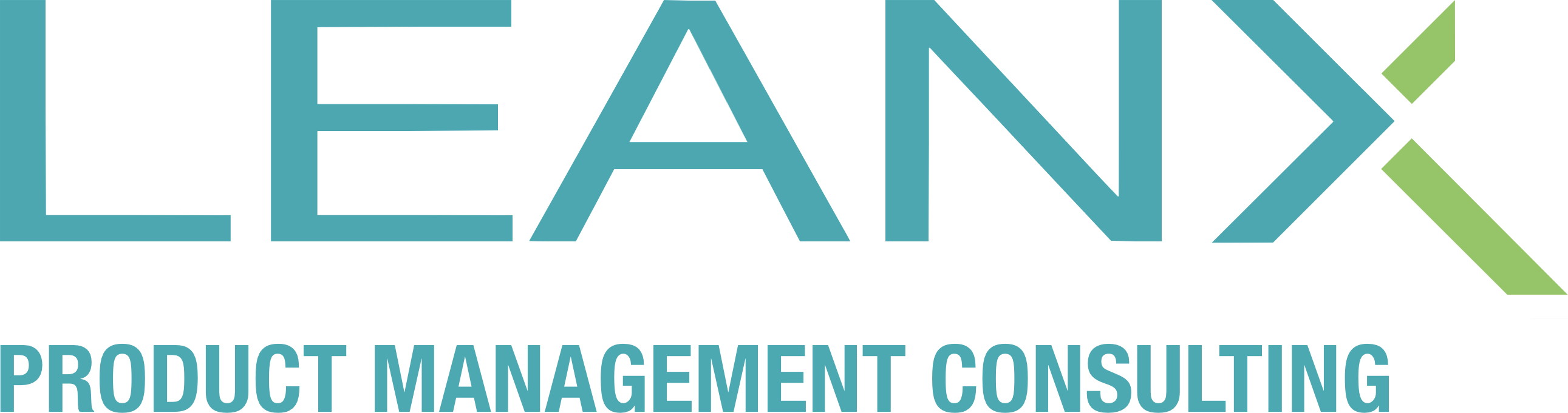 Product Management Consulting for Technology Companies